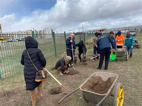 Зуунмод сумын Ногоон байгууламжийг нэмэгдүүлэх ажлын хүрээнд сумын ИТХ ын ажлын алба ЗДТГ ын