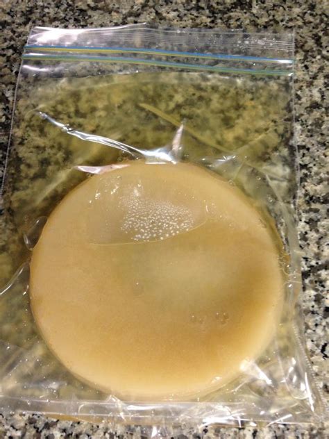 Jun Scoby