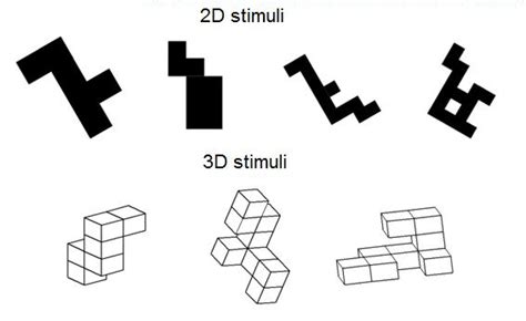Cognitive Modeling Secrets Of The Brain Mental Rotation Task