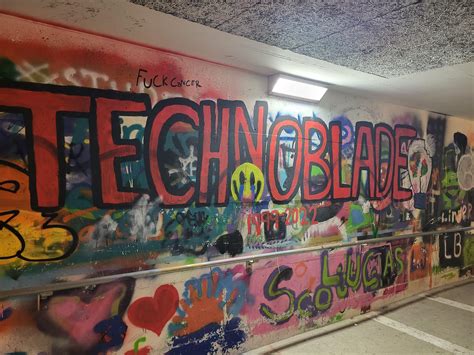 Found This R Technoblade