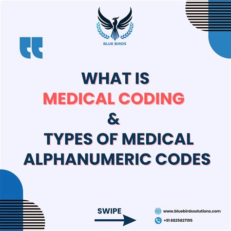 Bluebirdssolutions Medicalcoding Cpc Cpctraining