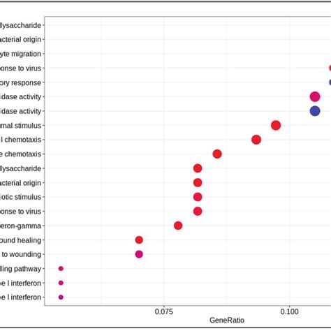 Dotplot Of Enrichment Analysis Results Kegg Download Scientific
