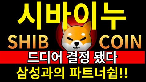 정말 시바이누 상상을 초월합니다 이게 어떻게 밈코인이죠 Youtube