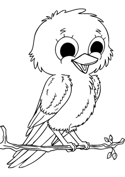 Раскраски Птицы картинки для разукрашивания Красивые раскраски