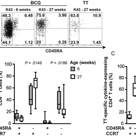 Memory Phenotype Of Bcg Specific And Tetanus Toxoid Ttspecific Cd4