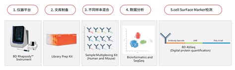 单细胞测序服务 乐备实 Labex 官网