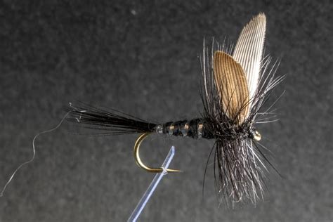Black Spinner - Hurleys Fly Fishing