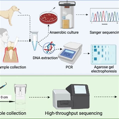 Experimental Procedure Part A Statistical Analysis Of The Detection