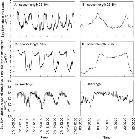 Characteristics Of Sap Flow Rate In Spacers Connecting A And C Download Scientific Diagram