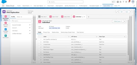 salesforce data cloud segments and calculated insights saasguru