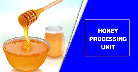 How To Set Up A Honey Processing Plant In India