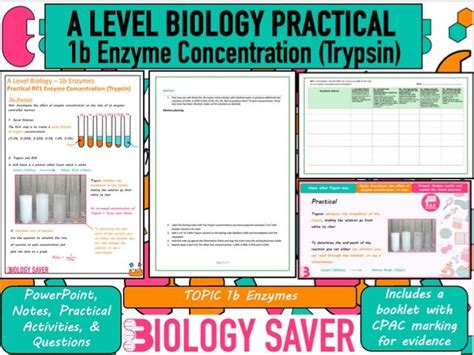 A Level Bio Practical Rp1 1b Enzyme Concentration Trypsin
