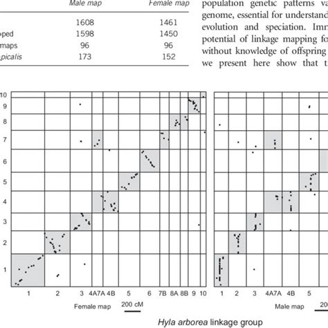 Of Mapped Markers And Number Available For Comparisons Between Download Scientific Diagram