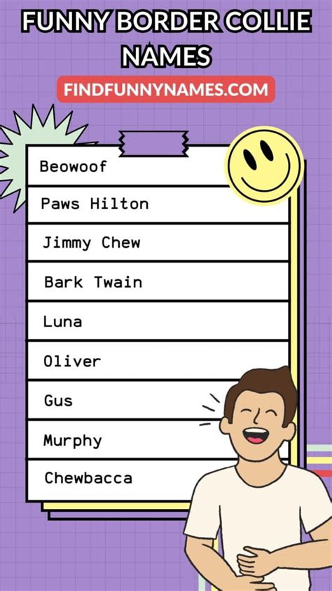 250 Funny Border Collie Names Creative Ideas