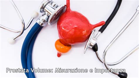 Ecografia Prostatica Sovrapubica Determinare Il Volume Della Ghiandola
