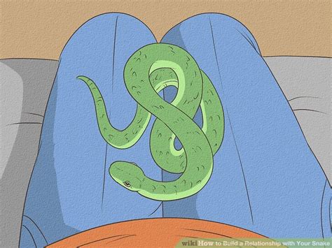 Ways To Build A Relationship With Your Snake WikiHow