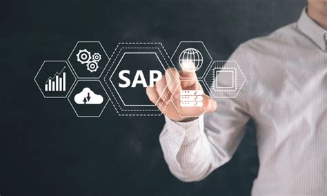 Sap Application Management Services Sap Ams Support