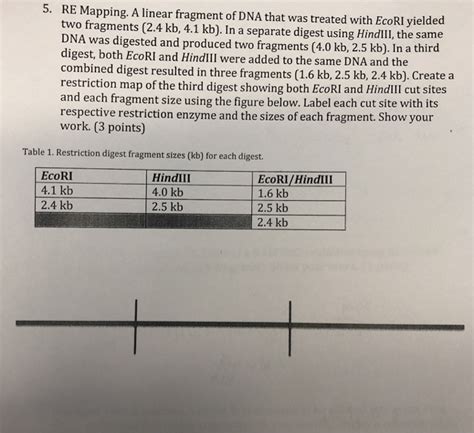 Solved Re Mapping A Linear Fragment Of Dna That Was Treated