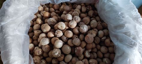 99 ကိုယ်ပိုင်လုပ်ငန်းလုပ်ချင်သူများအတွက် ကိုယ်ပိုင်လုပ်ငန်းစတင်မလုပ