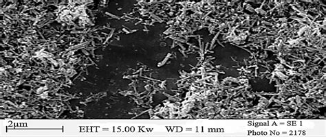 Xrd Spectrum A Ft Ir Spectrum B And The Fe Sem C Of Synthesized