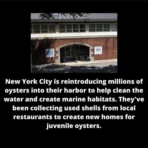 Im So Nyc 718 Im So Nyc 718 Added A New Photo