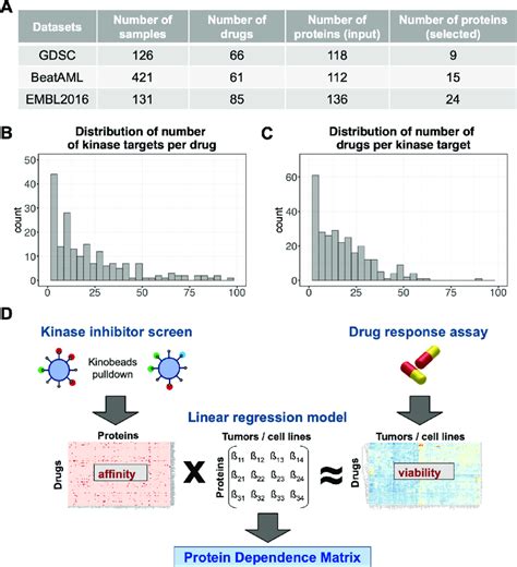 principle of the protein dependence inference framework a summary of