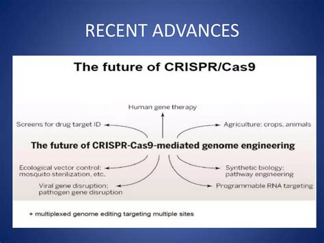 Crisprcas9 The Gene Editing Tool Pptx Programming Languages