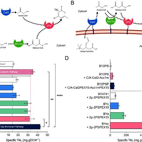 Improving Polyketide Biosynthesis Through Peroxisomal Surface Display Download Scientific