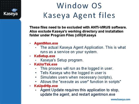 what does software kaseya agent do geneberlinda