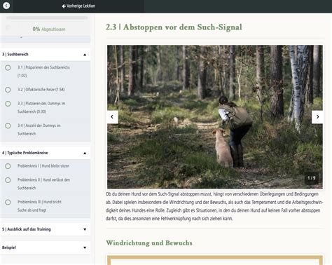 Retrievertraining Einweisen Grundlagen Such Signal