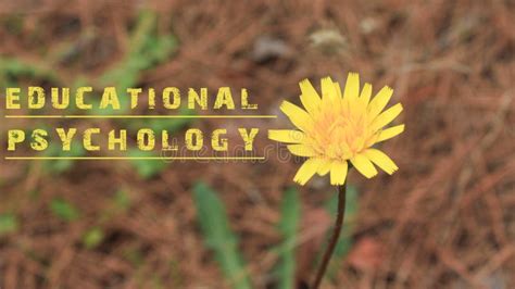 Educational Psychology Sentence Was Written Background Of Yellow