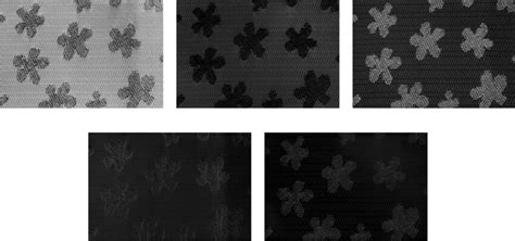 The Five Weight Maps Correspond To The Five Color Vertices Of The Image Download Scientific