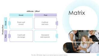 QMS Matrix Ppt Layouts Graphics Tutorials PPT Template
