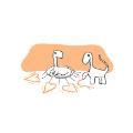 The Mysterious Sex Lives Of Dinosaurs CNN