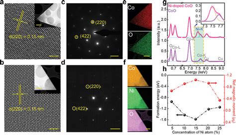 Tem And Doping Concentration Characterizations Of Ni‐doped Coo