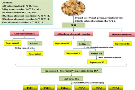 Extraction Flow Chart Of Psp 1 Psp 6 Download Scientific Diagram