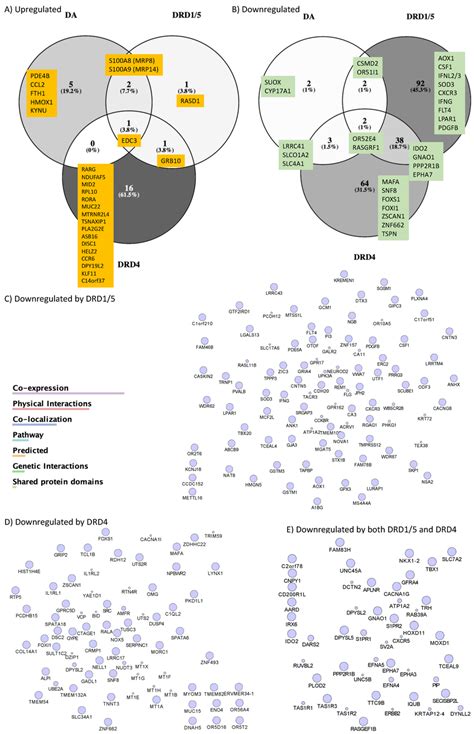 Venn Diagrams Showing Gene Signatures Identified In Response To Da And