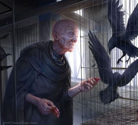 Mtgnexus Maester Aemon Targaryen