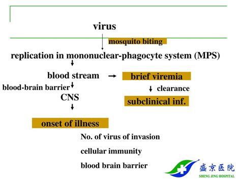 Ppt Epidemic Encephalitis B Powerpoint Presentation Free Download