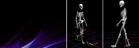 3d Motion Analysis