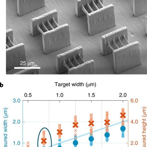 Suspended Lines As 3d Printing Voxel Size Benchmark A Sem Image Of A Download Scientific