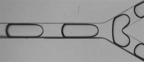 Micro Particle Counting Object Detection Dataset By Droplet