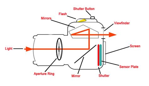 Nikon Camera Diagram