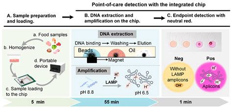 Biosensors Free Full Text An All In One Platform For On Site