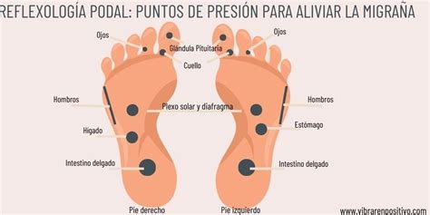 Cómo Aliviar La Migraña Con Reflexología Podal ⋆