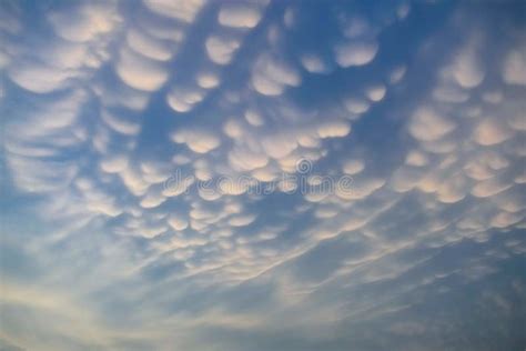 Cumulus Clouds Aka Puffy Clouds Aka Cotton Like Clouds Aka Fluffy