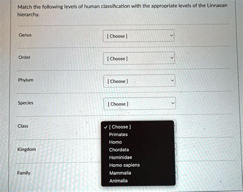 Match The Following Levels Of Human Classification With The Appropriate Levels Of The Linnaean