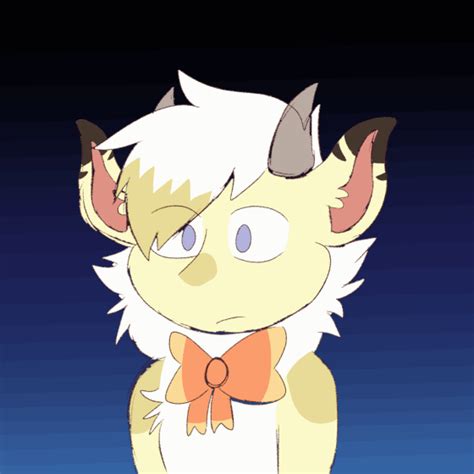 Cow Transformation 