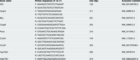 Primers Used For Qpcr In The Mouse Download Scientific Diagram