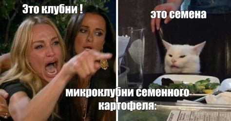 Комикс мем Это клубни это семена микроклубни семенного картофеля Комиксы Meme